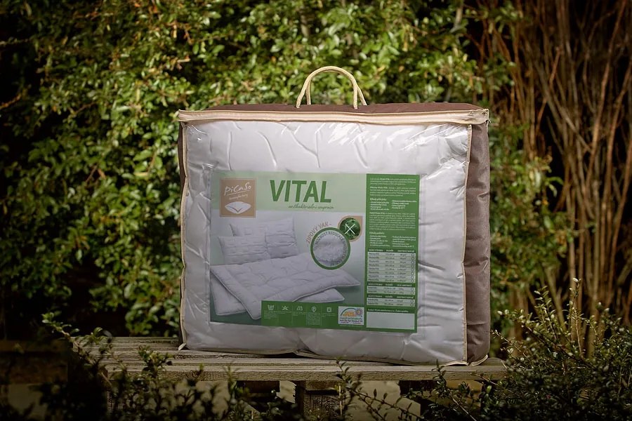 Přikrývka Vital antibakteriální Hřejivost: extra hřejivá duo, Rozměr: 200x240 cm