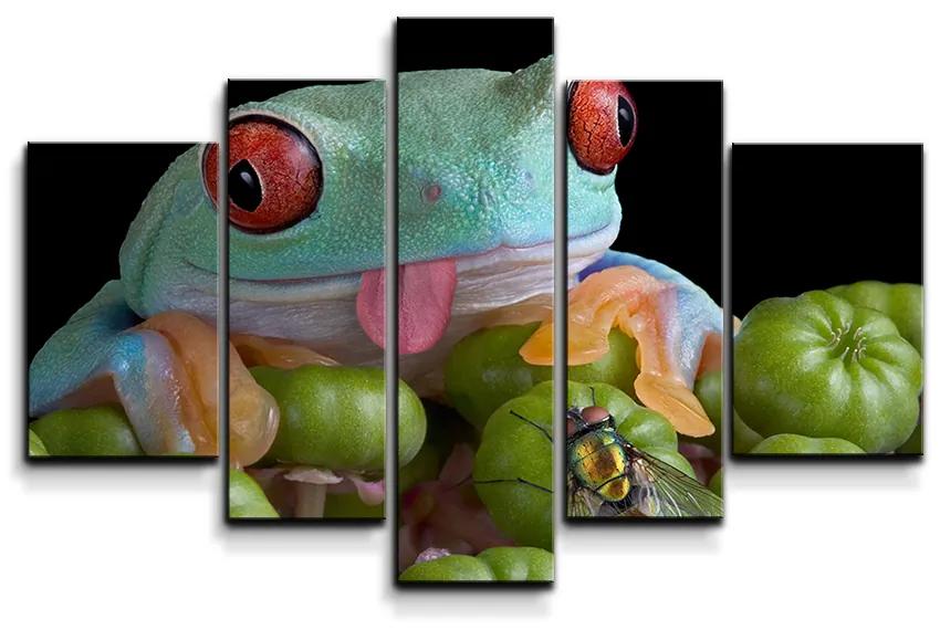 Sablio Obraz - 5-dílný Veselá žába - 125x90 cm