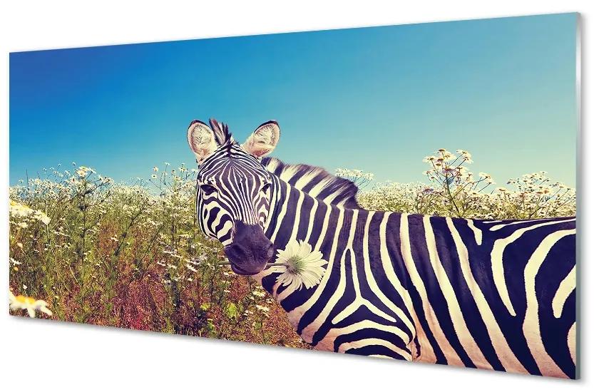 Obraz na skle zebra květiny 140x70 cm