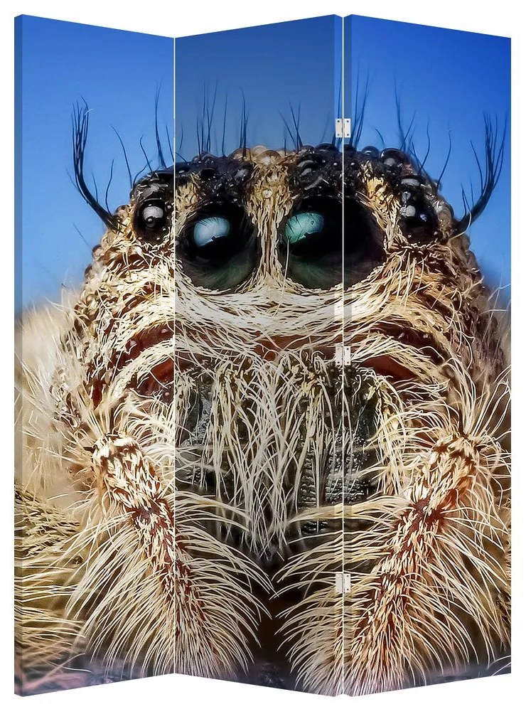 Paraván - Detail pavouka (126x170 cm)