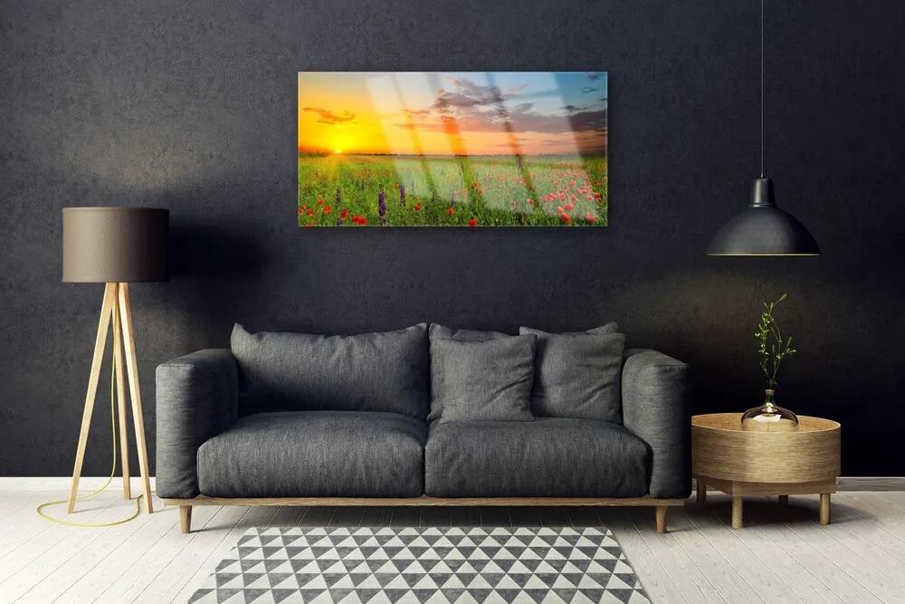 Obraz na skle Slunce Louka Květiny Příroda 120x60 cm