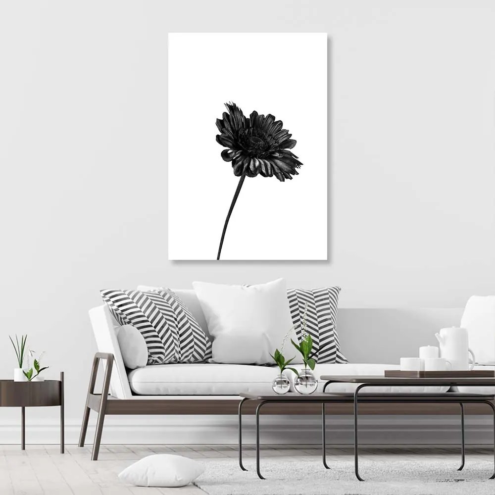 Gario Obraz na plátně Jednotlivé květiny Rozměry: 40 x 60 cm
