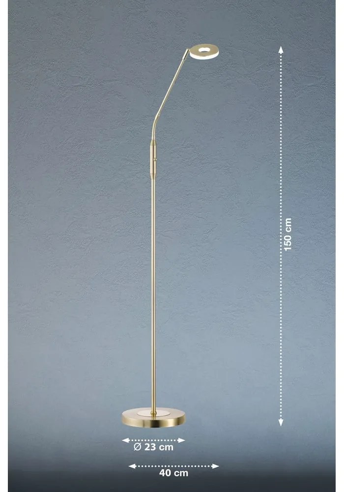 LED stmívatelná stojací lampa ve zlaté barvě (výška 150 cm) Dent – Fischer &amp; Honsel