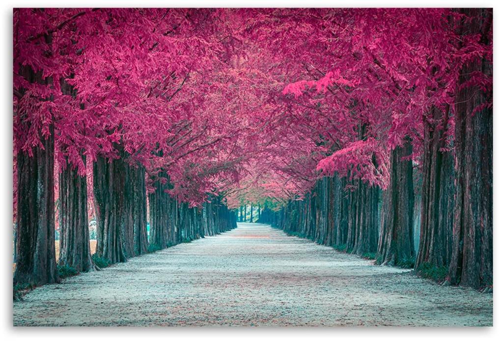 Obraz na plátně, Avenue růžových stromů - 60x40 cm