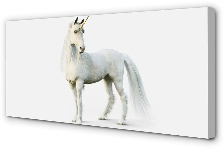 Obrazy na plátně bílý jednorožec 120x60 cm