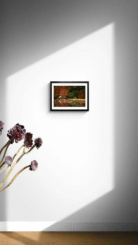 Jiří Hřebíček | Silent Autumn Admirer Rám: Bílý, Velikost: 30 x 40 cm