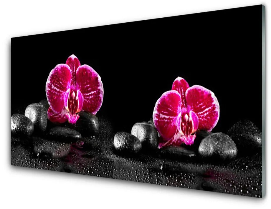 akrylový obraz Květ Kameny Rostlina 120x60 cm