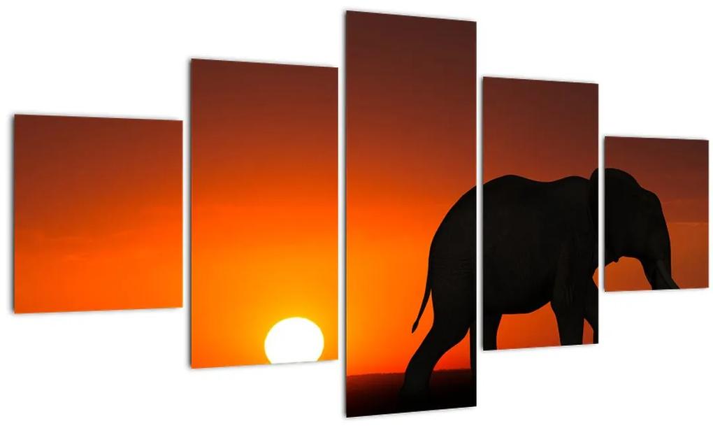 Obraz slona při západu slunce (125x70 cm)