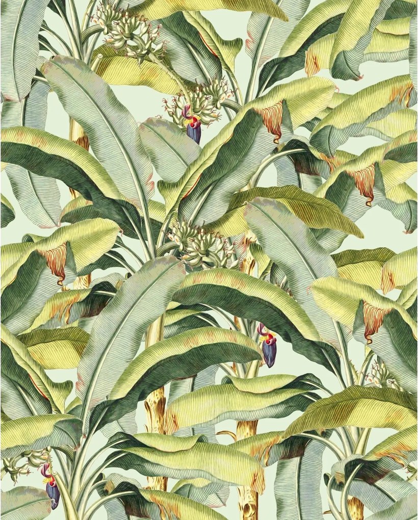 Komar Vliesová fototapeta Banana Grove 250 x 200 cm