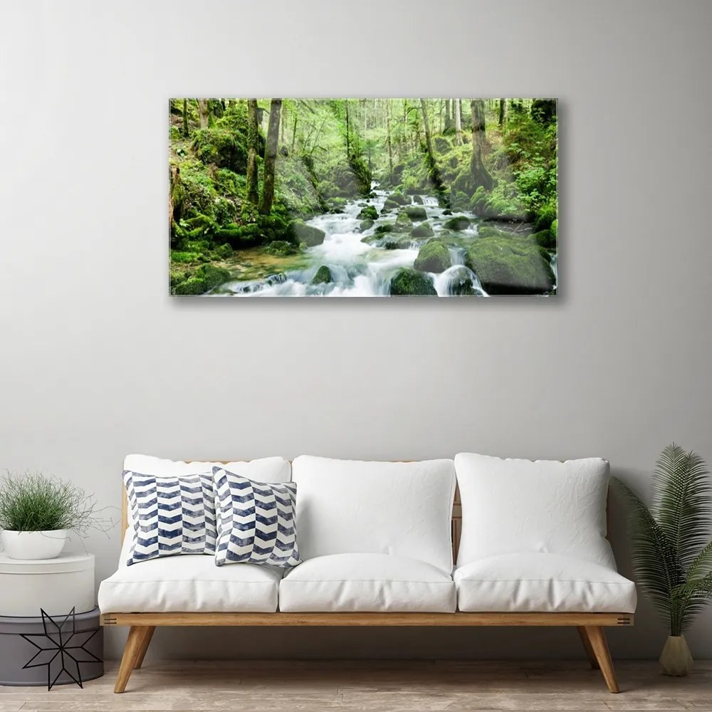 Plexisklo-obraz Les Potok Vodopády Řeka 100x50 cm
