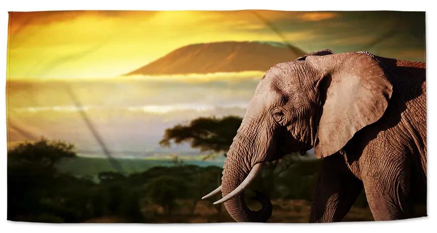 Ručník SABLIO - Slon z profilu 30x50 cm
