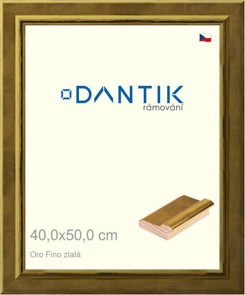 DANTIK rámeček 40x50 | Oro Fino zlatá (Plexi Čiré)