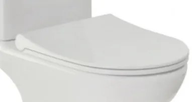 Olsen Spa WC sedátko TRIA SLIM soft-close, oválné OLKGYM00DRP50
