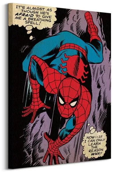 Obraz na plátně Marvel Spiderman (Reason Why) 60x80cm WDC90944
