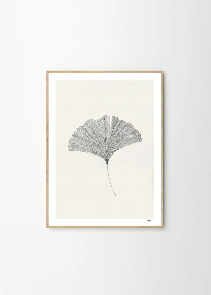 Plakát 50x70 cm Ginkgo Leaf – Ana Frois – The Poster Club