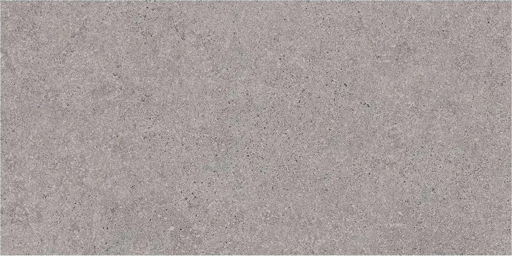 RAKO Block - Obklad 29,8x59,8 cm, tmavě šedá matná WADVK782