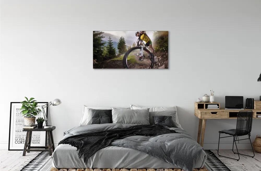 Obrazy na plátně Cloud na horském kole 100x50 cm