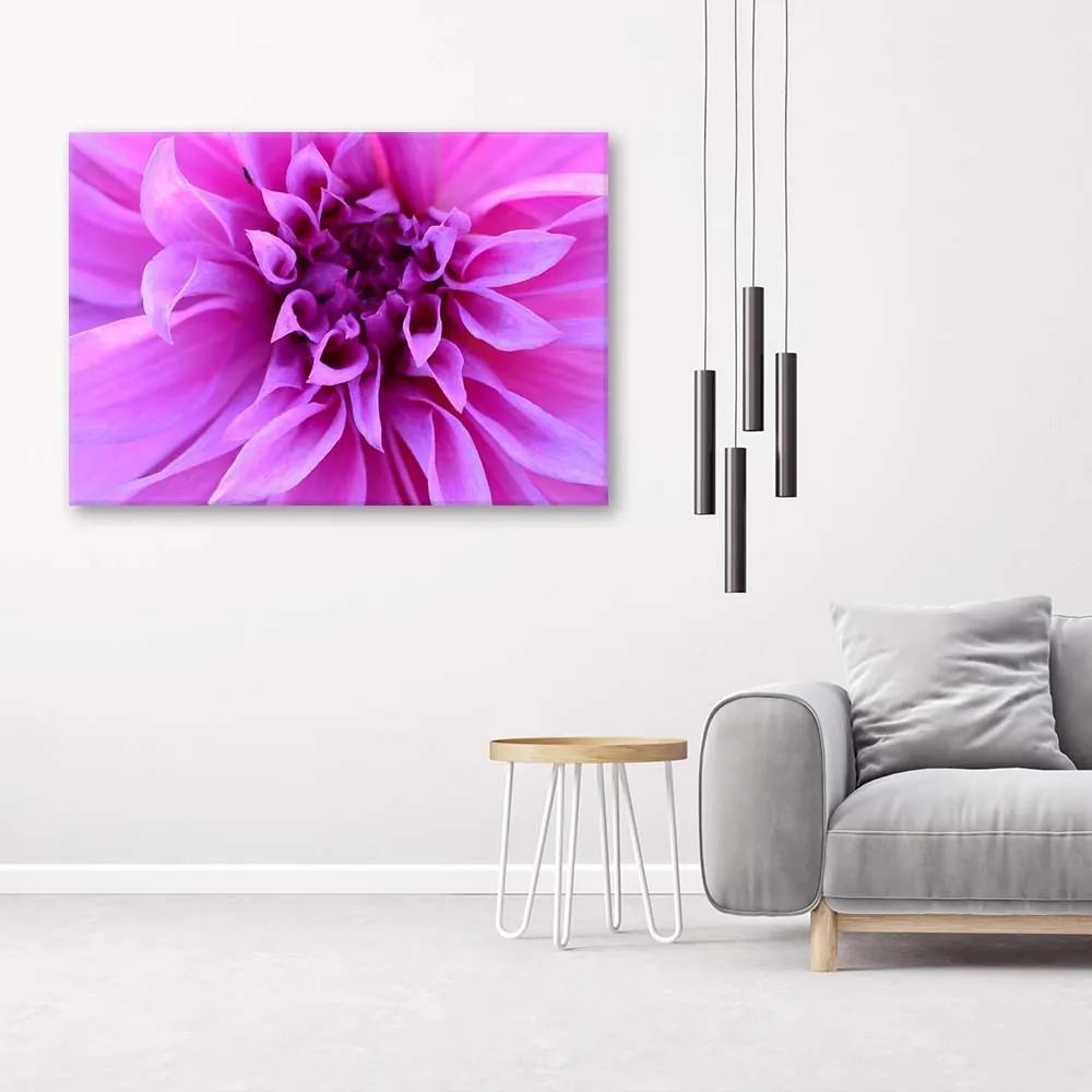 Gario Obraz na plátně Fialová květina Rozměry: 60 x 40 cm