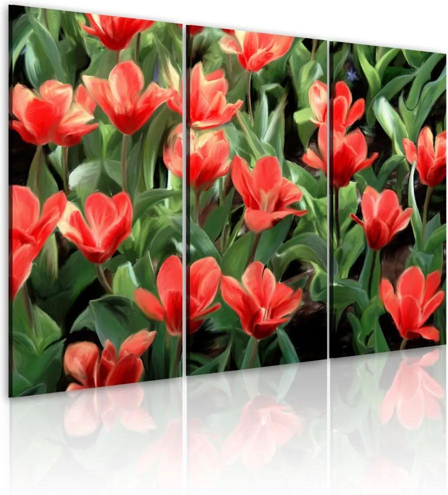 Obraz - Červené tulipány v rozkvětu - 120x80