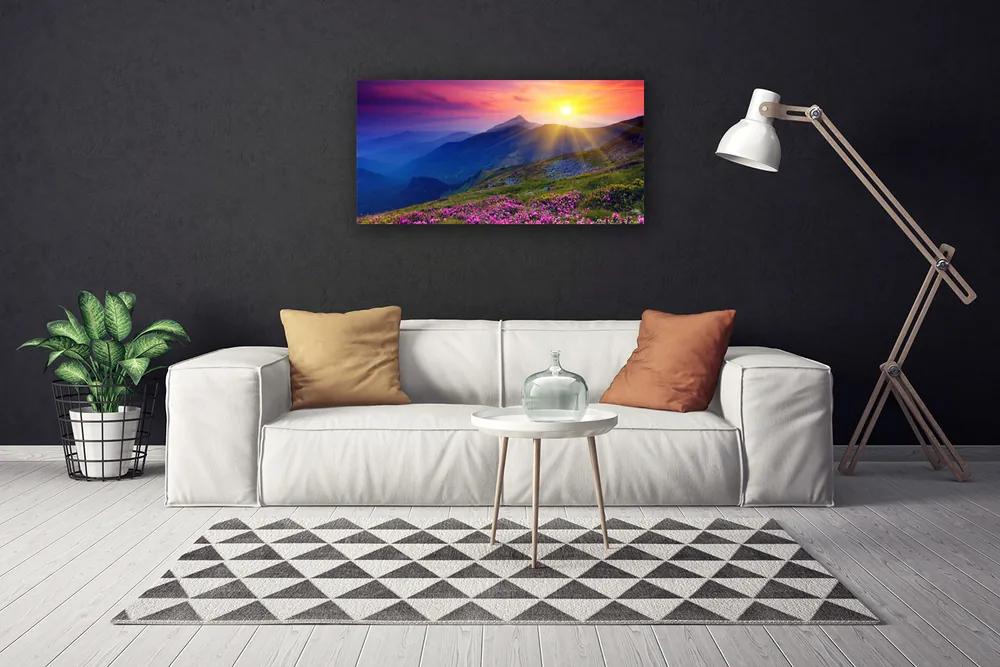 Obraz na plátně Hory Květ Louka Krajina 125x50 cm