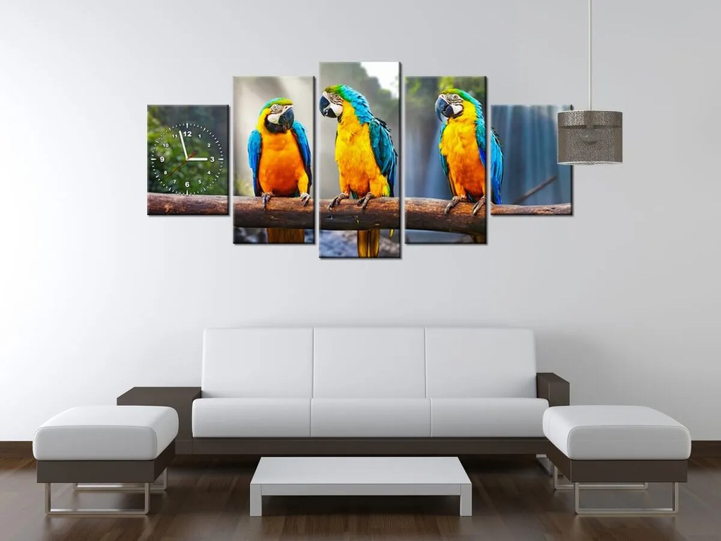 Gario Obraz s hodinami Barevní papoušci - 5 dílný Rozměry: 150 x 70 cm
