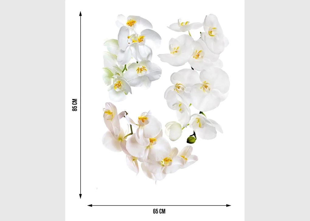 Samolepka na zeď Květy Orchideje | 65 x 85 cm | DF1068
