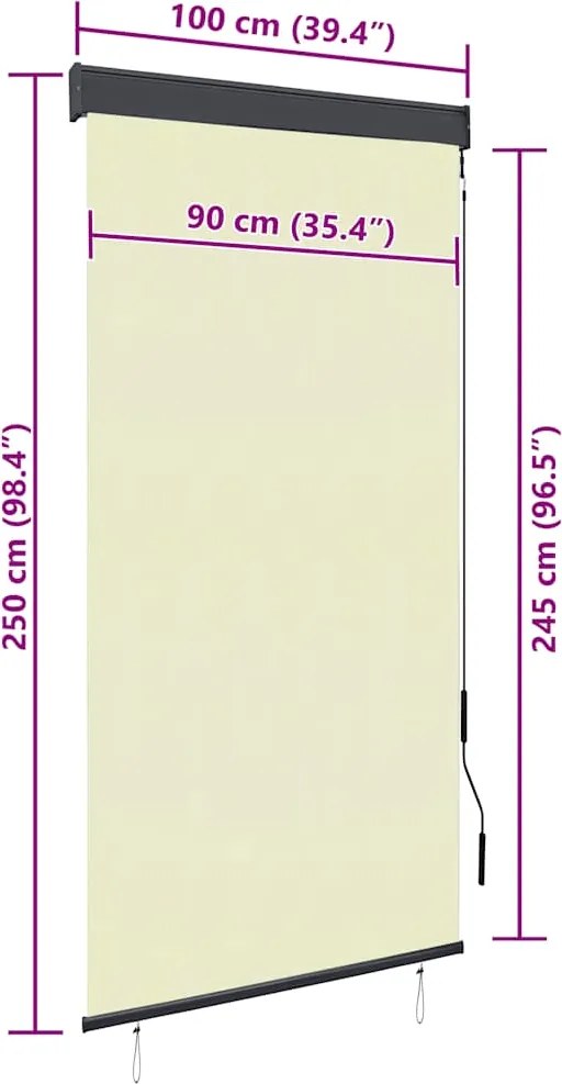 vidaXL Marketos Venkovní roleta 100 x 250 cm krémová