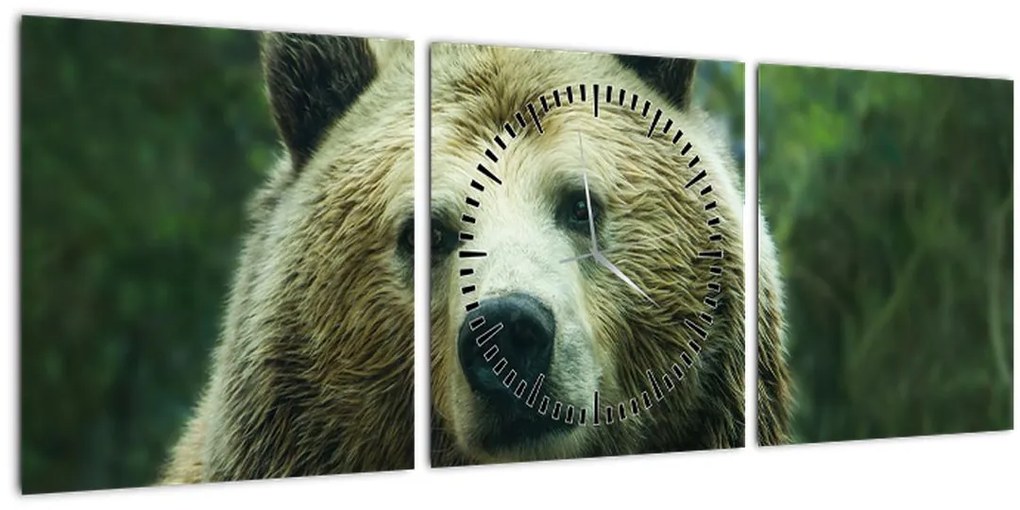 Obraz medvěda (s hodinami) (90x30 cm)