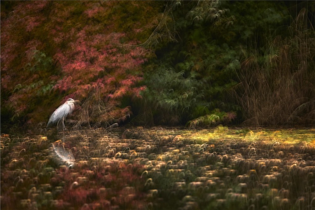 Jiří Hřebíček | Silent Autumn Admirer Rám: Černý, Velikost: 20 x 30 cm