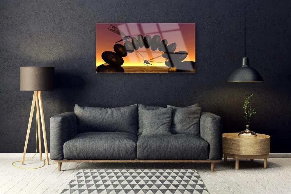 Obraz na skle Vážky Kameny Umění 125x50 cm