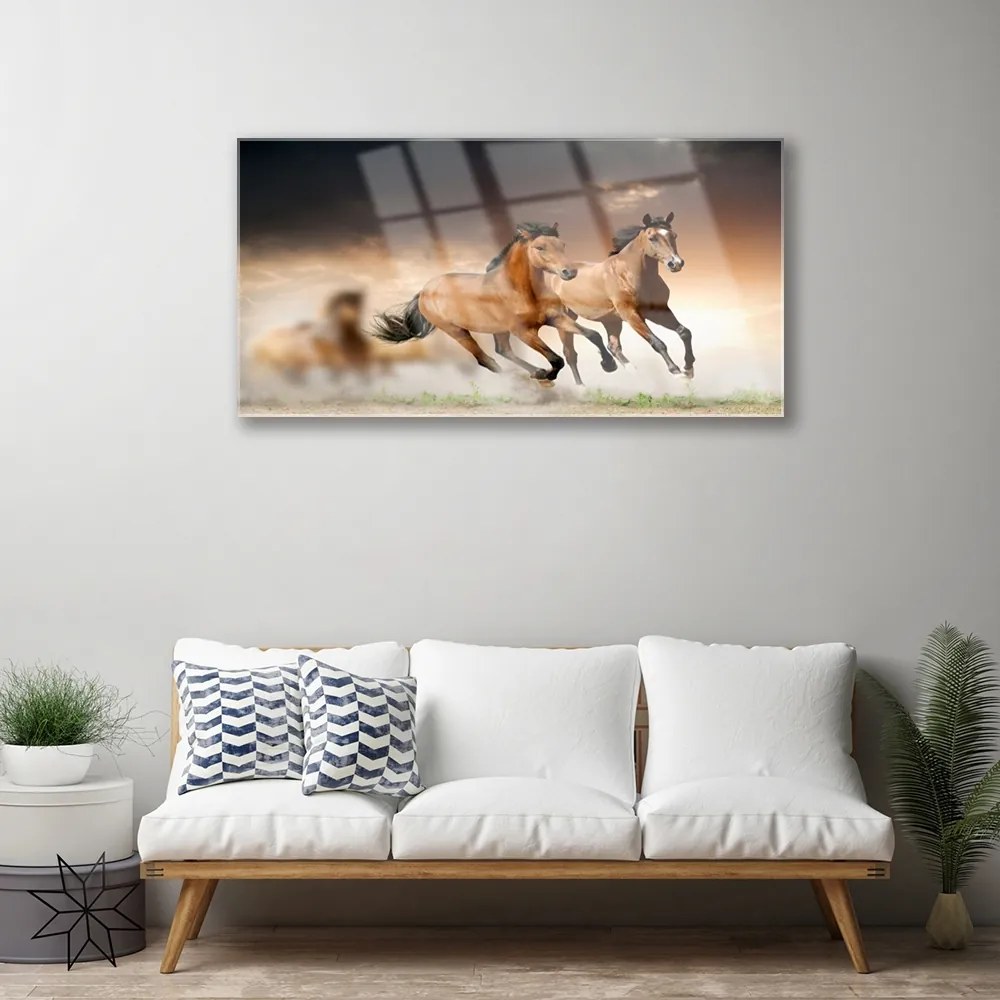 Obraz na skle Koně Zvířata 140x70 cm