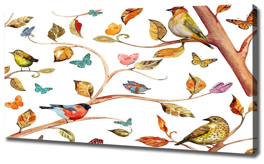 Wallmuralia Foto obraz na plátně Ptáci a motýli 120x60 cm