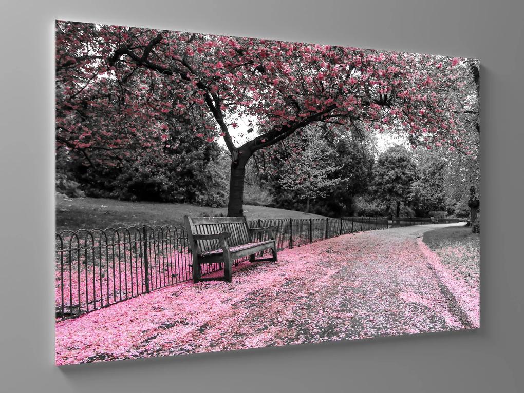 Liox Obraz lavička v parku Rozměr: 100 x 65 cm