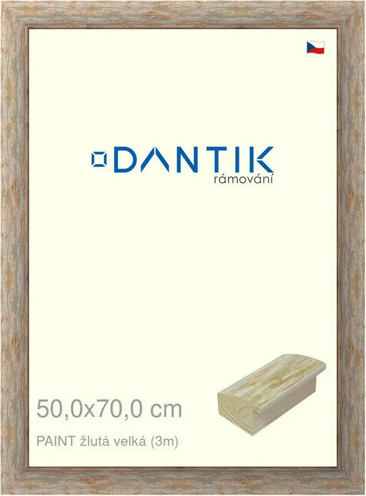 DANTIK rámeček 50x70 | PAINT žlutá velká (Plexi Čiré)