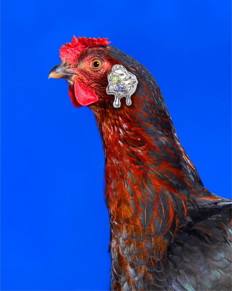 Radka Korandová | Zrození by Anna Baum 1 Rám: Bílý, Velikost: 40 x 30 cm