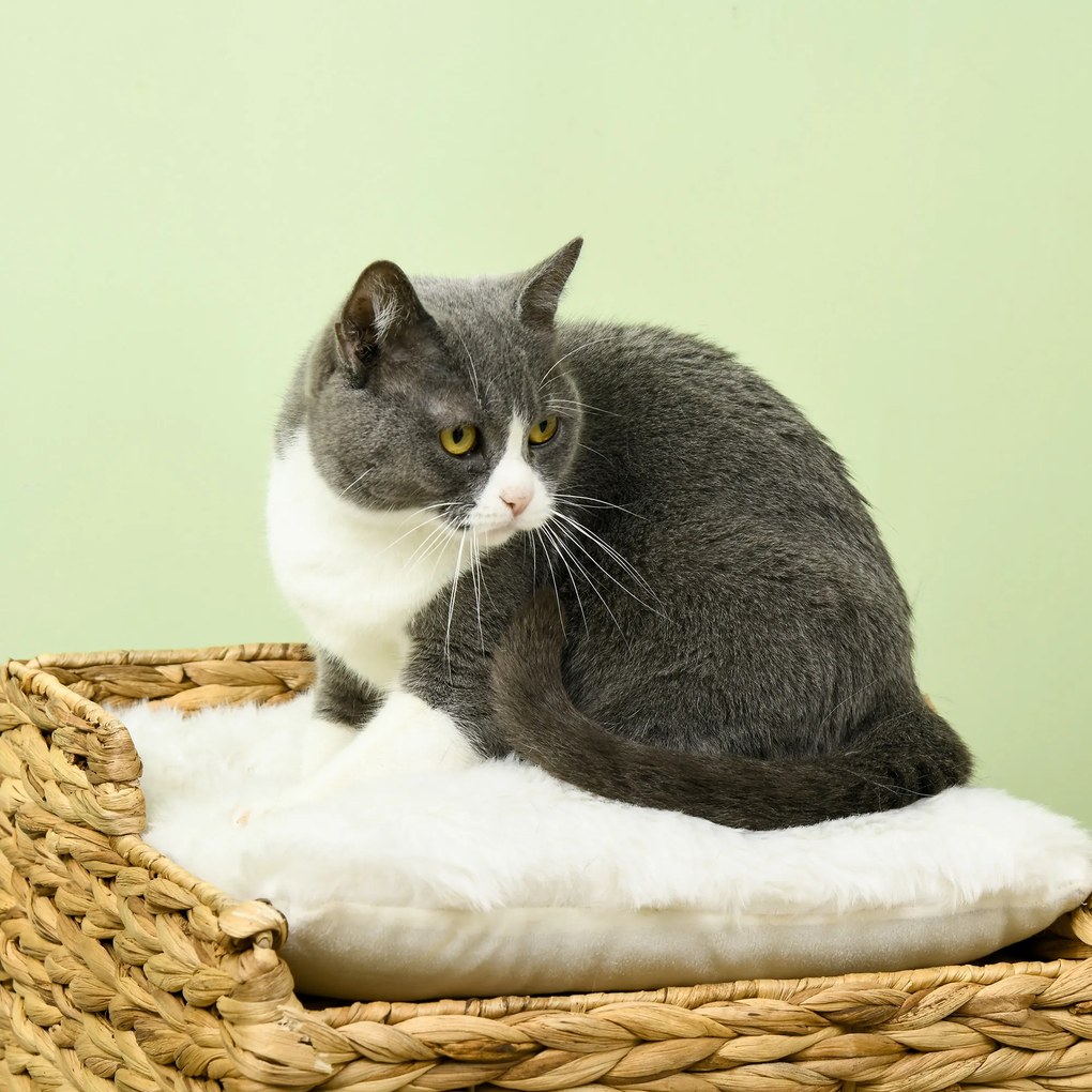 PawHut ratanová kočičí jeskyně 2-úrovňový polštář vodní hyacint hnědý do 5 kg