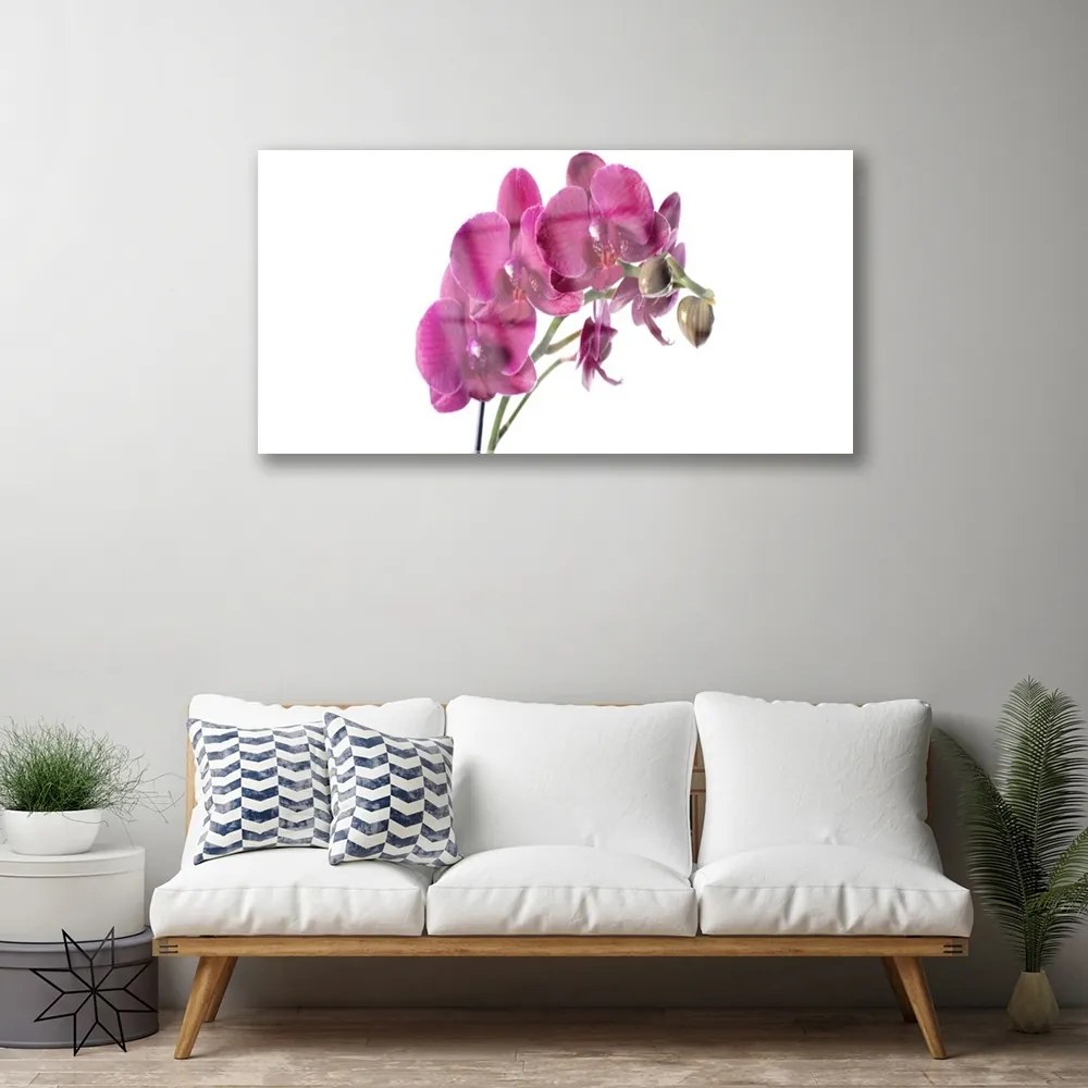 Obraz na skle Orchidej Květiny Příroda 100x50 cm