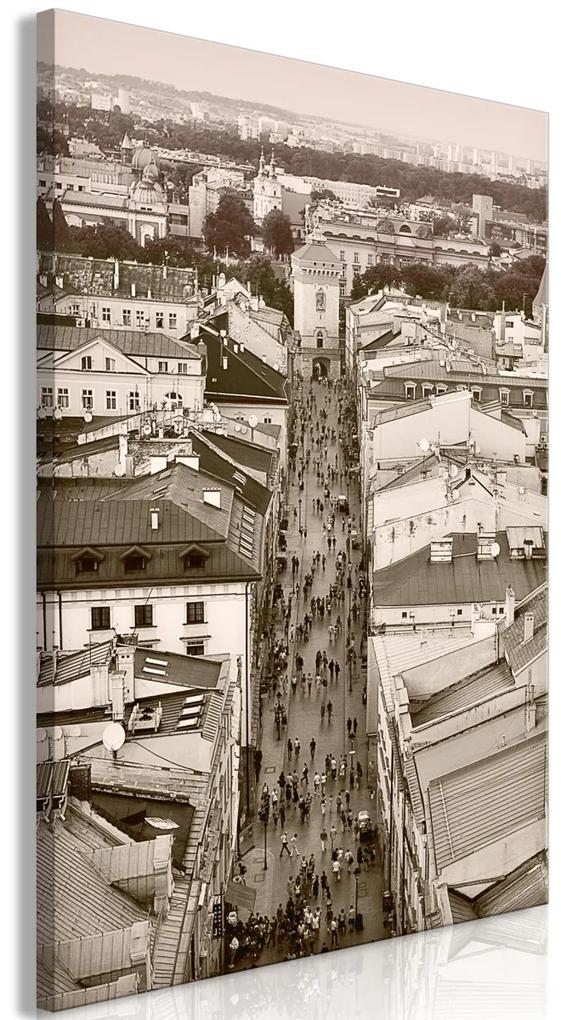 Obraz - Cracow: Florianska Street (1 Part) Vertical