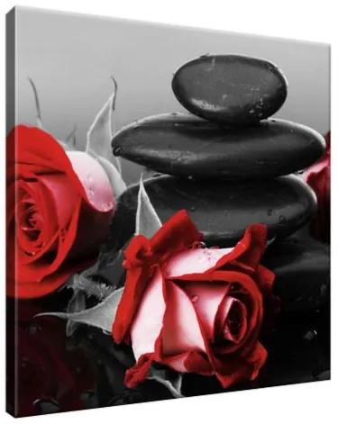 Tištěný obraz Červené růže a kameny 30x30cm 1705A_1AI