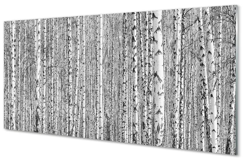 Obraz na skle Černá a bílá strom les 100x50 cm