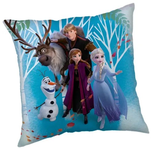 Jerry Fabrics Polštářek Frozen 02 Family 40x40 cm