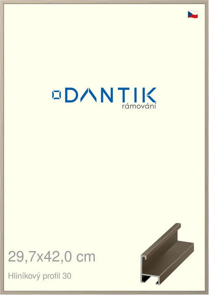 DANTIK rámeček 29,7x42 | ALU profil 6030 champagne (Plexi Čiré)