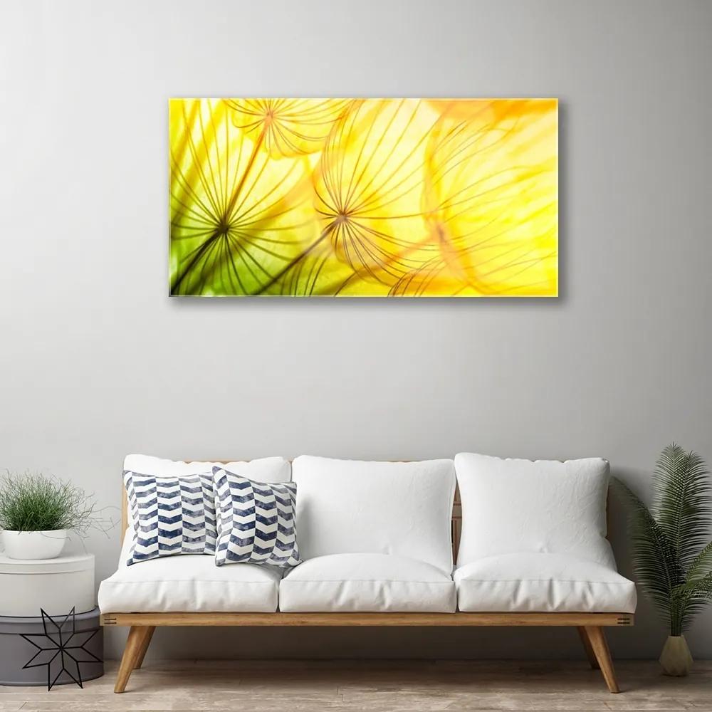 Obraz na skle Pampelišky Květiny Příroda 125x50 cm