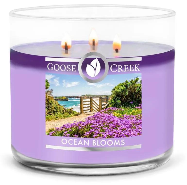 Goose Creek Candle svíčka Ocean Blooms, 411 g