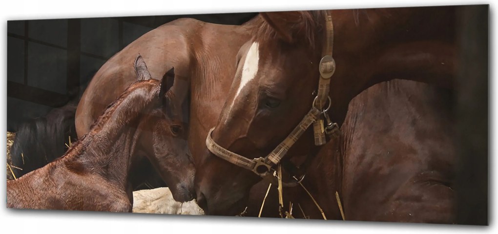 potisk na skle, skleněný obraz 125x50 koní