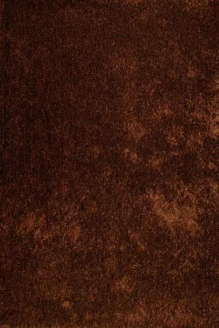 Vopi | Kusový koberec Melbourne Shaggy brown - 160 x 220 cm