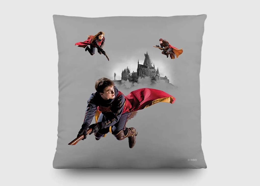 Dekorativní polštářek Harry Potter | 40 x 40 cm | DCND3157