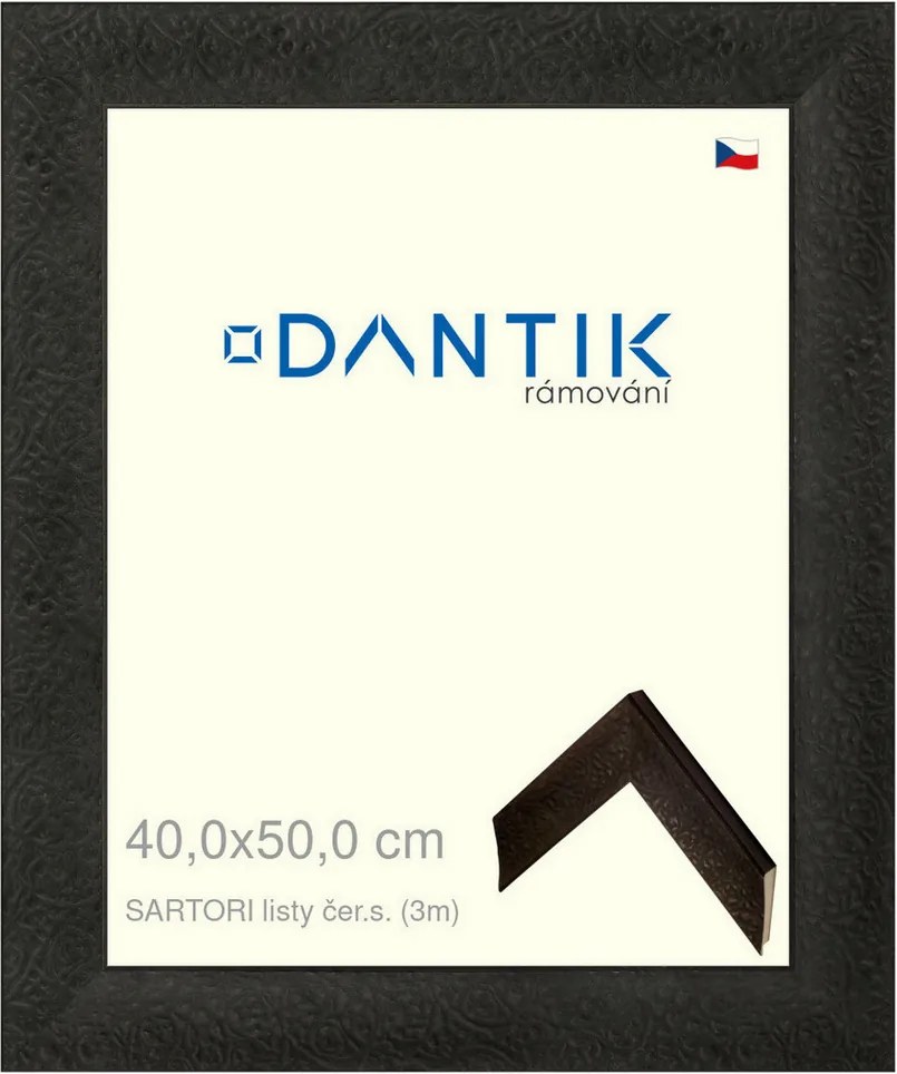 DANTIK rámeček 40x50 | SARTORI listy čer.s. (Plexi Čiré)