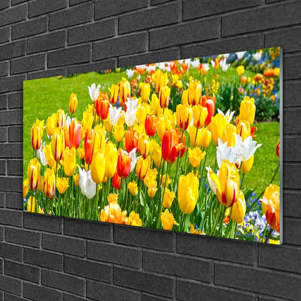 Obraz na skle Tulipány Květiny Příroda 120x60 cm