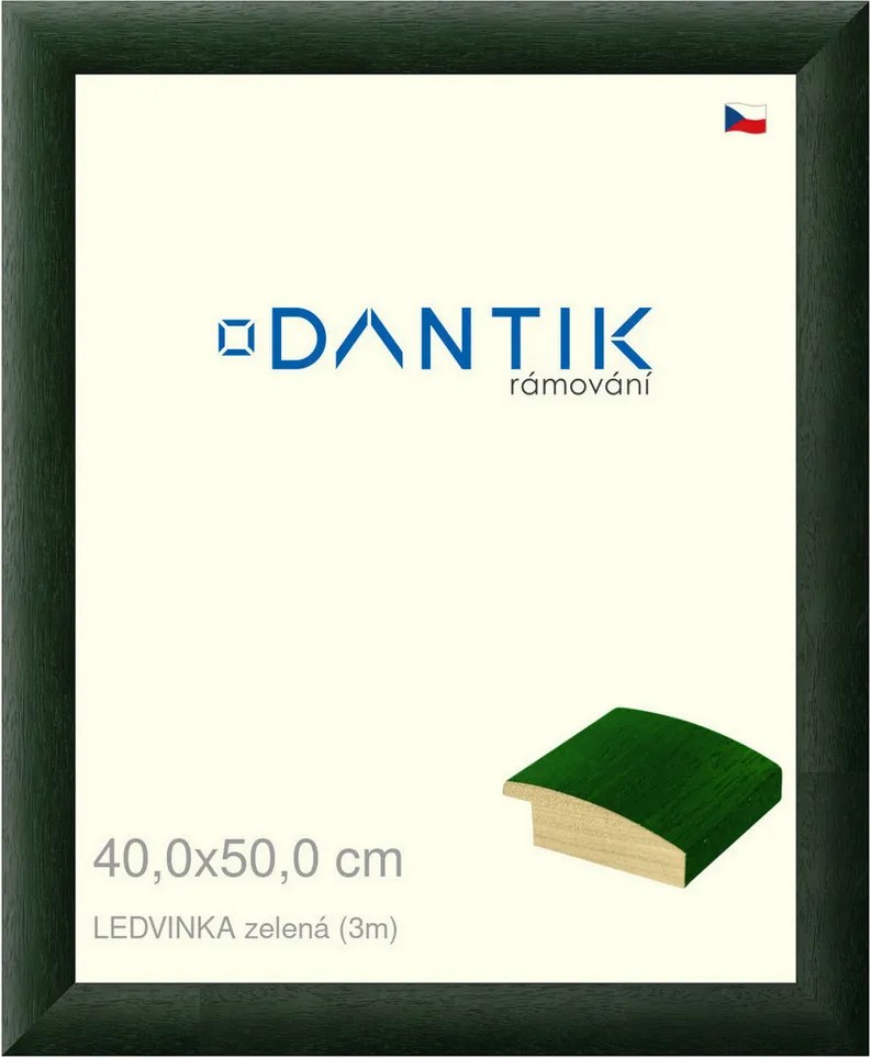 DANTIK rámeček 40x50 | LEDVINKA zelená (Plexi Čiré)